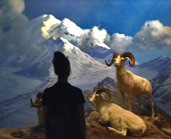 Barbara Ellison on her CyberSongs – Ensemble Klang